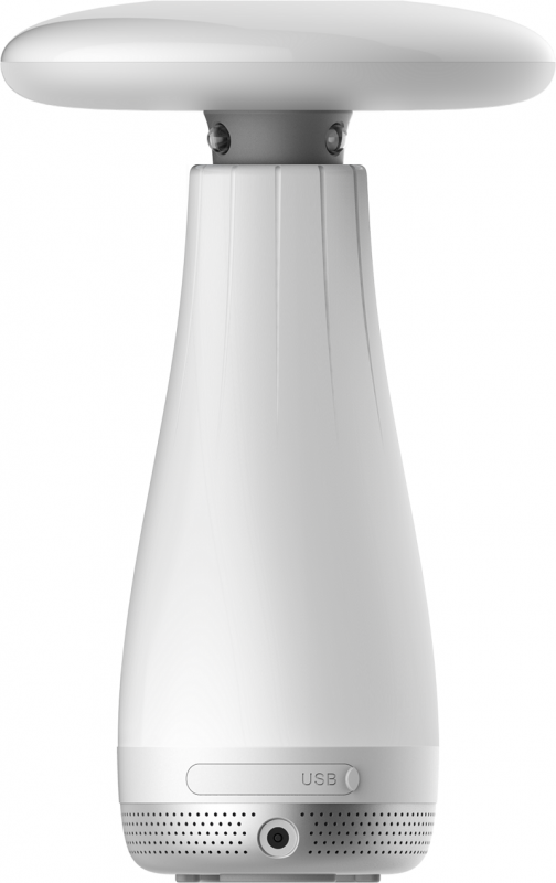 Roome Smart Light 智能電燈 - 越洋億科奇有限公司（TPEG）