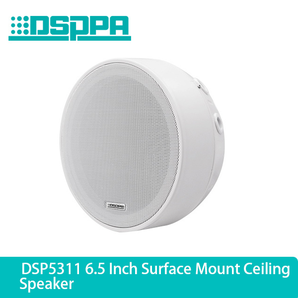 DSPPA DSP5311 6.5 Inch Surface Mount Ceiling Speaker - MetaMall 元商城