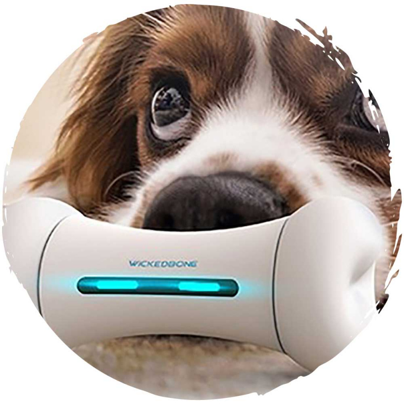 Cheerble Wickedbone 自動遙控電動狗狗玩具智能狗骨頭 - 毛孩物語Pets Thing｜香港寵物貓狗用品專門店