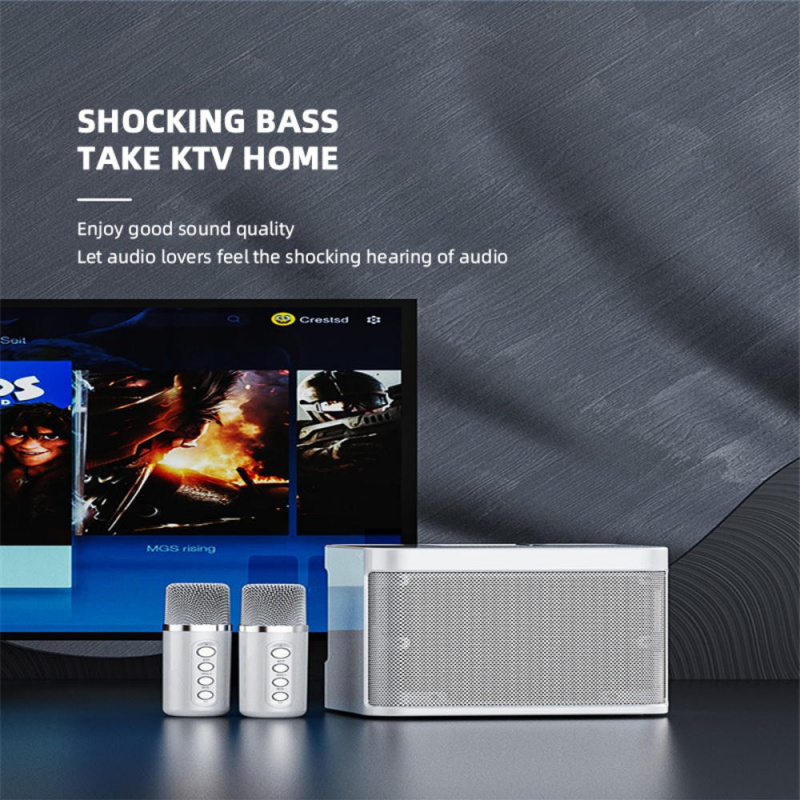 2023 New 100w Ys-203 Portable Professional Karaoke Dual Microphone Bluetooth Speaker Smart ...