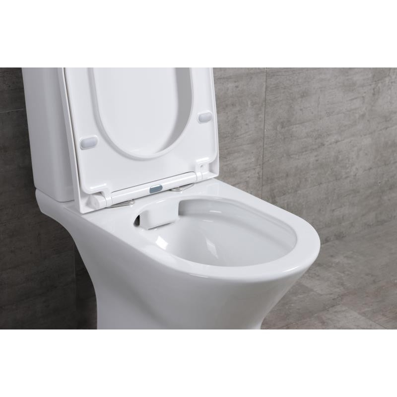 Richford , R690 , Rimless, 無框沖水 , 相連式 , 自由咀 , 納米座廁 , 連緩衝降板 - 香港21衛浴潔具有限公司