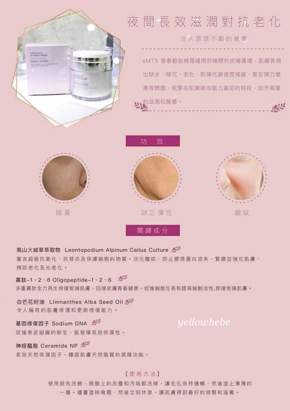 [授權代理正貨] 韓國sMTS 青春動能晚霜 Effect GF Night Cream 50ml - YELLOWHEBE SHOP