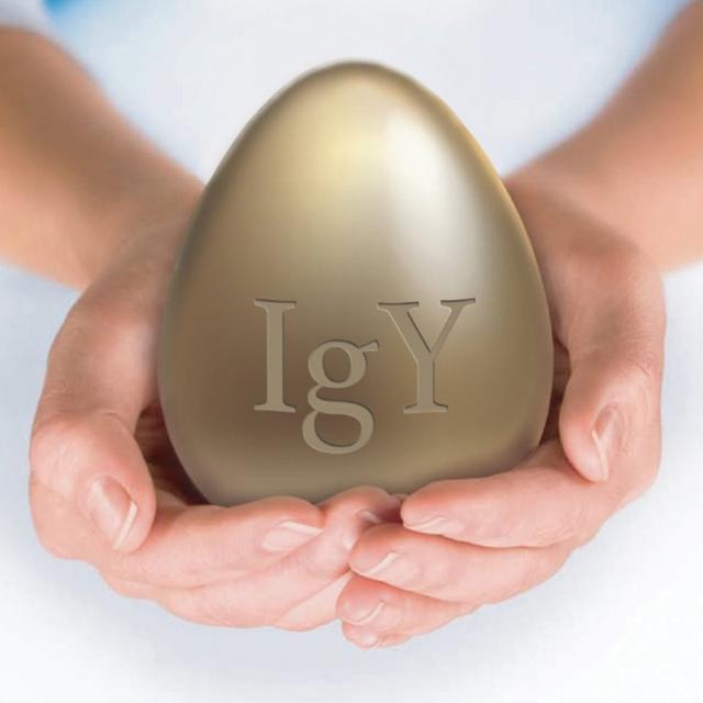 Hyperig PL100 高效平衡免疫蛋白粉 - WwCG hyperig