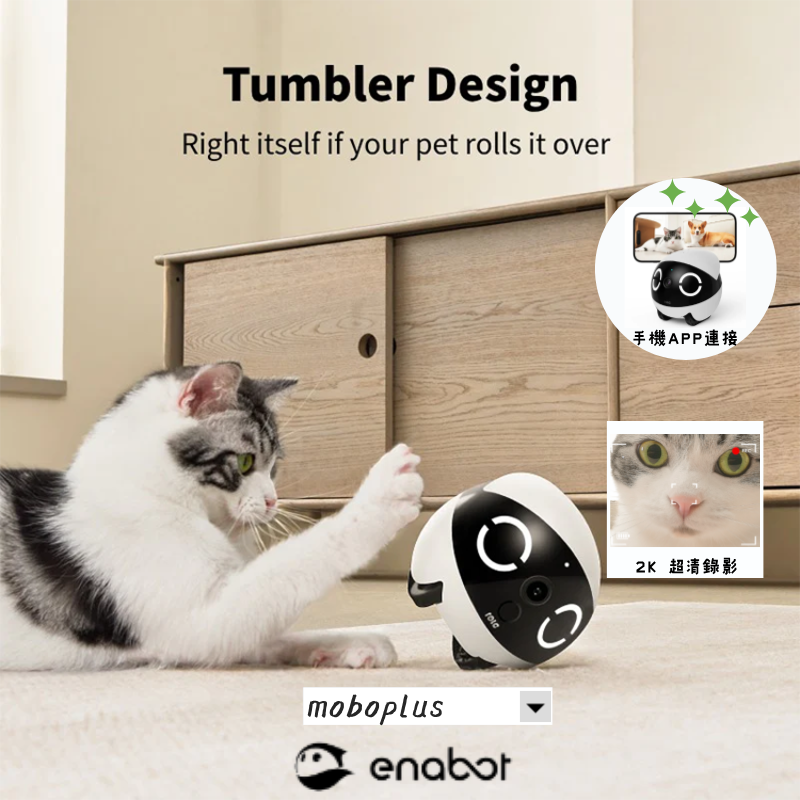 Enabot - ROLA mini 寵物互動機械人 - MoboPlus