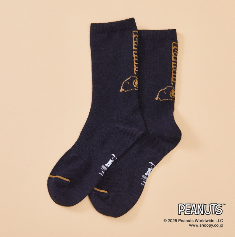 【💥日本直送】MIZUNO PEANUTS Breath Thermo 透氣 吸濕 保暖 發熱 羊毛 羊毛襪 中長襪 運動襪 襪 女士 黑色 ...