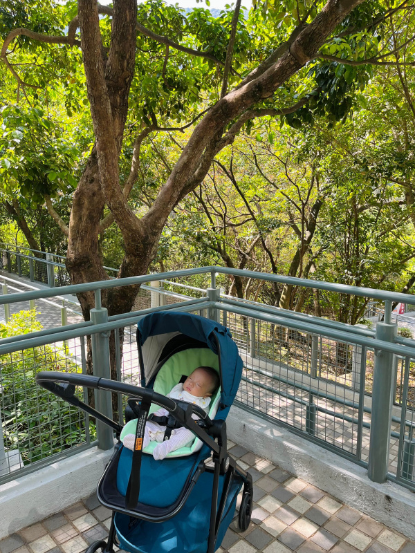 Philips Avent Stroller 飛利浦高身輕巧雙向嬰兒車 by Philips Avent Deluxe Package ...