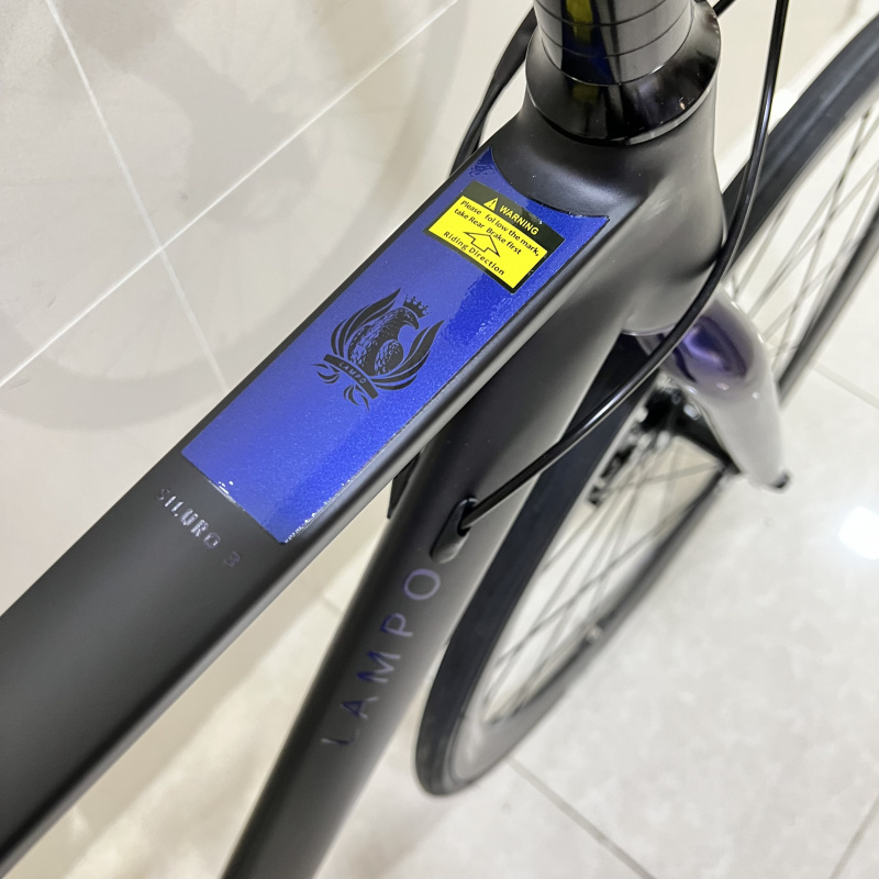 JAVA LAMPO SILURO Shimano Sora rear derailleur 18 Speeds Road Bike 公路單車 ...