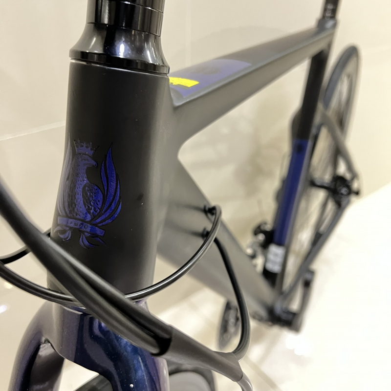 JAVA LAMPO SILURO Shimano Sora rear derailleur 18 Speeds Road Bike 公路單車 ...