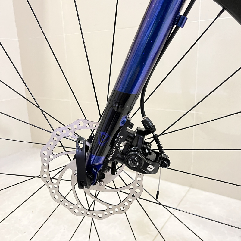 JAVA LAMPO SILURO Shimano Sora rear derailleur 18 Speeds Road Bike 公路單車 ...