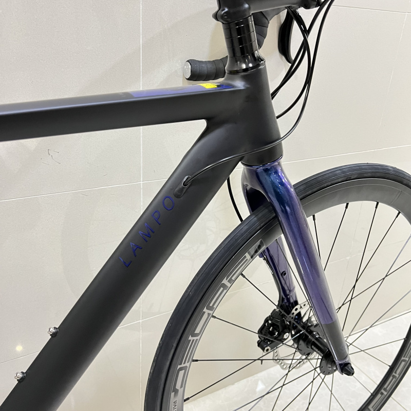 JAVA LAMPO SILURO Shimano Sora rear derailleur 18 Speeds Road Bike 公路單車 ...