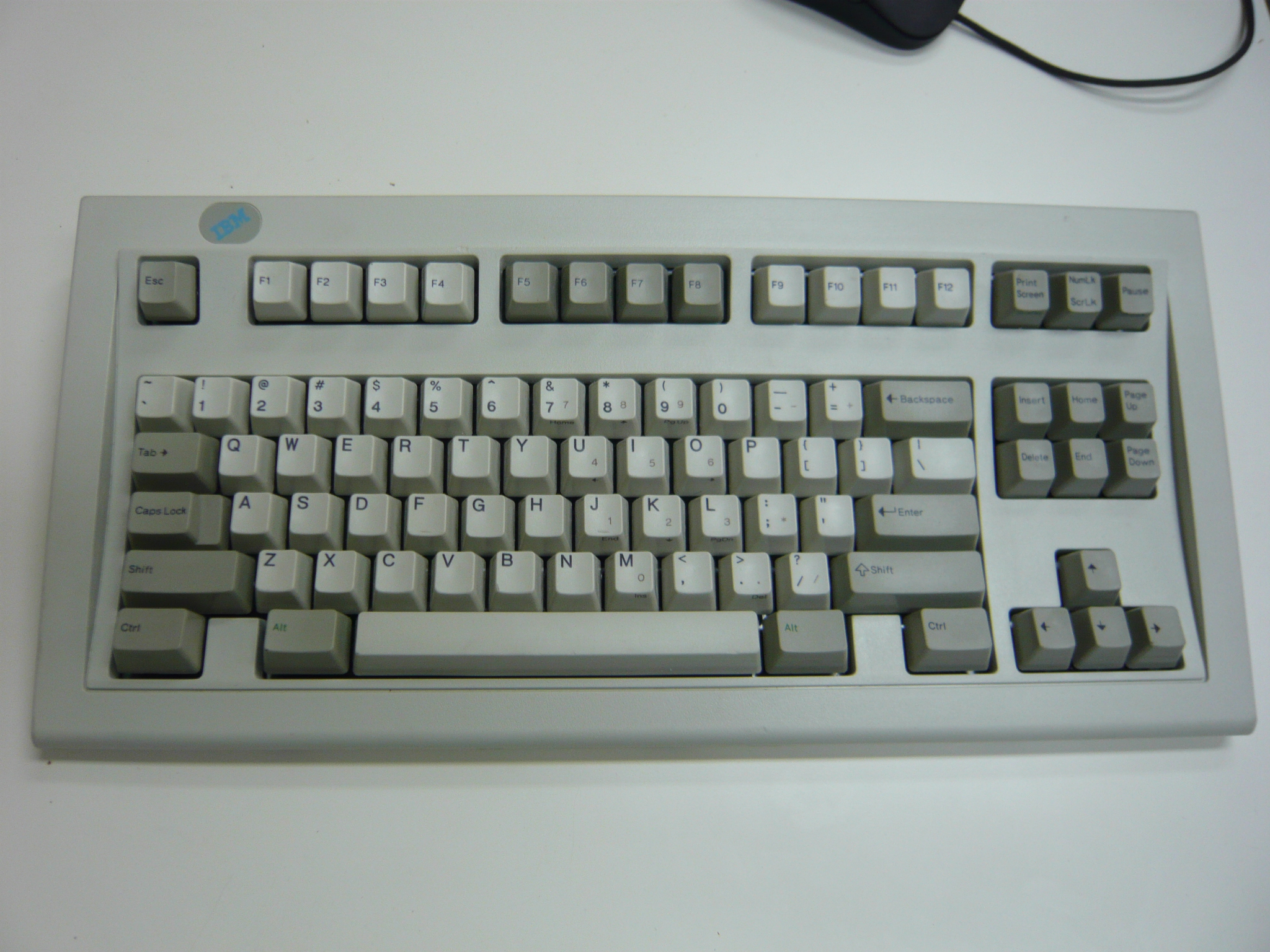 IBM Model M Space Saving (84-key) Keyboard WHITE LABEL 價錢、規格及用家意見 - 香港格 ...