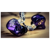 QDC HiFi版8動鐵單元公模版監聽耳機 8SH 價錢、規格及用家意見 - 香港格價網 Price.com.hk