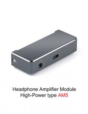 FiiO 大功率耳擴模組 AM5 價錢、規格及用家意見 - 香港格價網 Price.com.hk