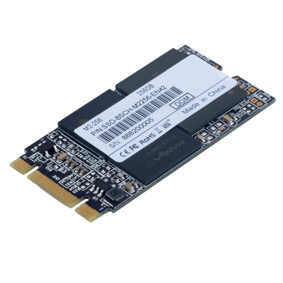 DGM M.2 SSD 256GB (M42-256) 價錢、規格及用家意見 - 香港格價網 Price.com.hk
