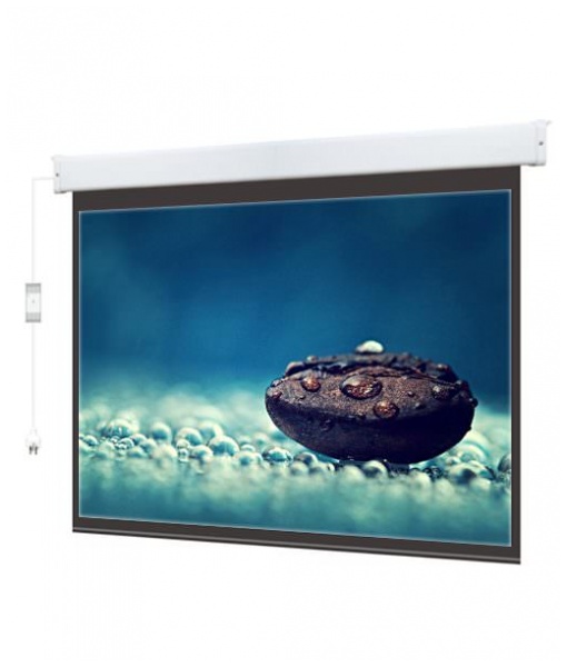 Redleaf 紅葉 100吋電動幕 Projection Screen 價錢、規格及用家意見 - 香港格價網 Price.com.hk