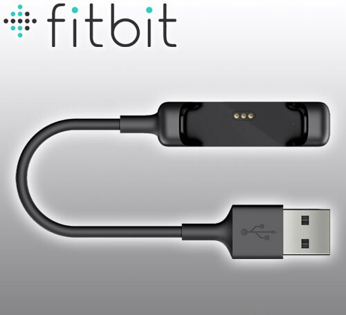 Fitbit USB Charging Cable for Flex 2 Activity Tracker 價錢、規格及用家意見 - 香港格價 ...