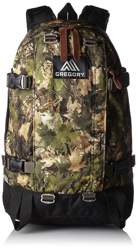 Gregory All Day 22L (Maple Leaf) 楓葉款 價錢、規格及用家意見 - 香港格價網 Price.com.hk