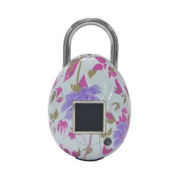 BIO-key Egg Touch Lock 價錢、規格及用家意見 - 香港格價網 Price.com.hk