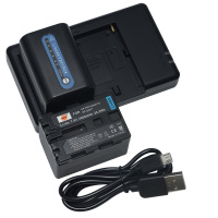 DSTE 2 x NP-QM71 / NP-FM70 Battery With Rapid Dual USB Charger Kit (For ...