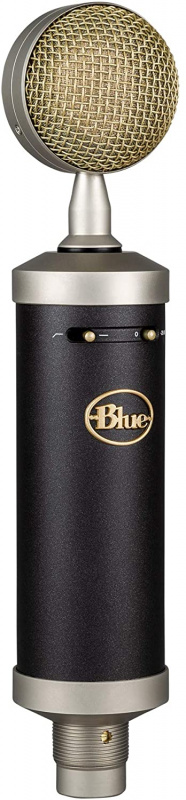 Blue Microphones Baby Bottle SL Large-Diaphragm Studio Condenser ...