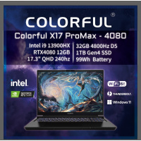 Colorful X17 Pro Max 17.3吋 (2023) (240Hz, i9-13900HX, 32GB+1TB SSD ...