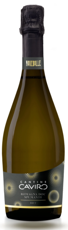 Cantine Caviro Romagna DOC Spumante Brut 價錢、規格及用家意見 - 香港格價網 Price.com.hk