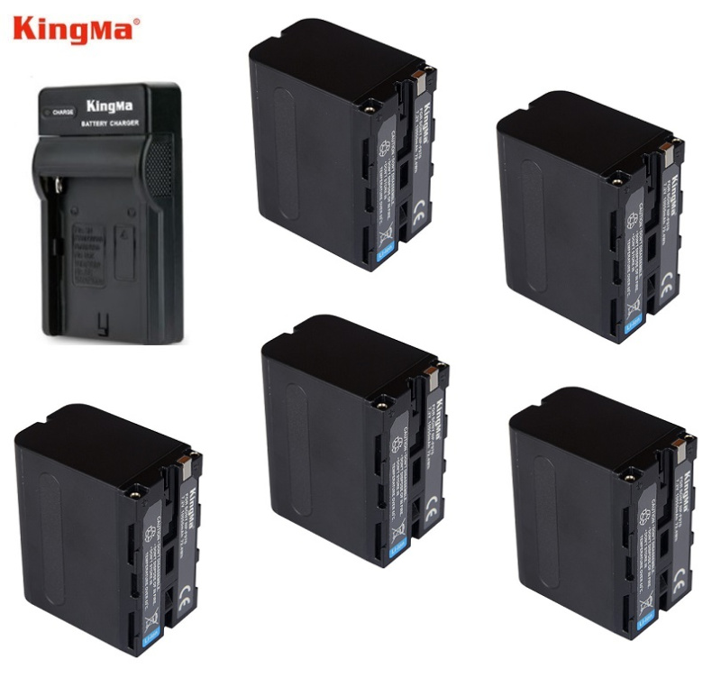 KINGMA 5 pcs L-Series Info-Lithium Battery Pack Batteries With USB ...