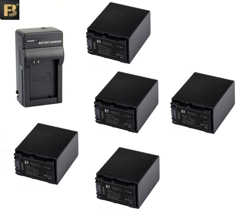 FB 灃標 5 Pcs NP-FV100 Info-Lithium Batteries With AC Travel Charger 五電池連 ...