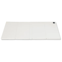 Licoco Clean Mat 遊戲地墊 (194 x 120cm) 價錢、規格及用家意見 - 香港格價網 Price.com.hk