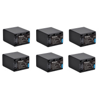 KINGMA 6 PCS Sony NP-FV100 V-Series Fully Decoded Lithium-Ion Battery ...