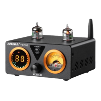 Aiyima Mini Bluetooth Amplifier 迷你藍牙電子管擴音機 T9 Pro 價錢、規格及用家意見 - 香港格價網 ...