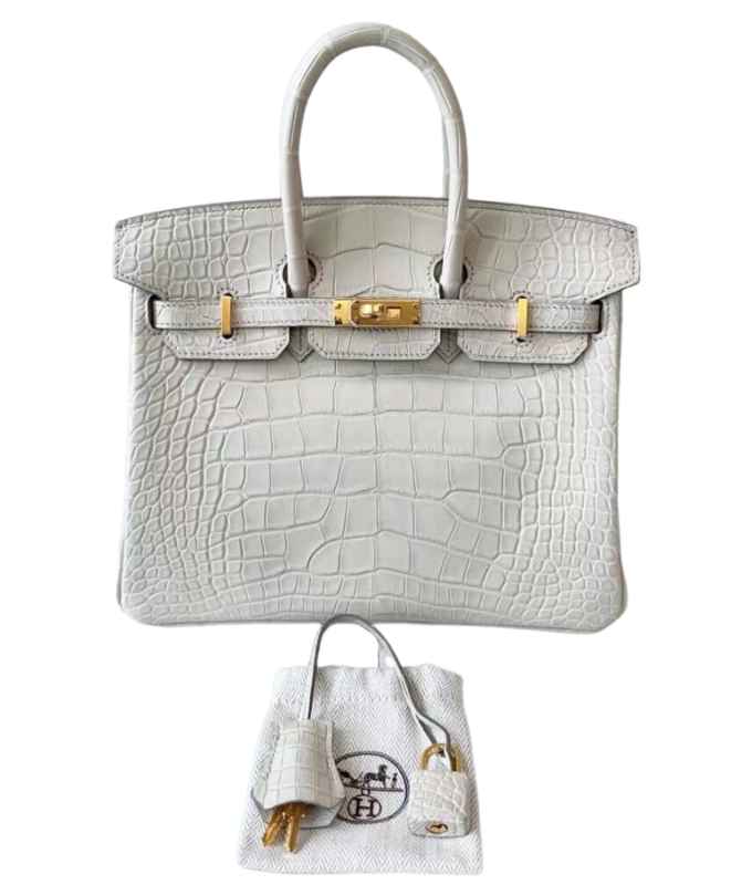 Hermes Birkin 25 U Stamp 8L冰川白金扣霧面鱷魚凱莉包 價錢、規格及用家意見 - 香港格價網 Price.com.hk