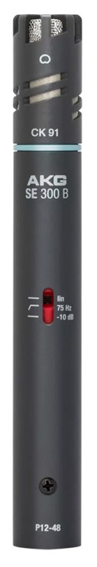 AKG High Performance Condenser Microphone 電容麥克風 C391 B 價錢、規格及用家意見 - 香港格 ...