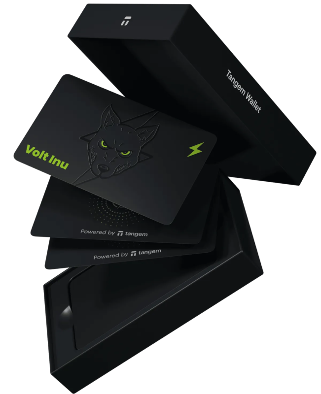 Tangem Wallet 2.0 加密貨幣冷錢包 - Volt Inu 限量版 (三卡裝) 價錢、規格及用家意見 - 香港格價網 Price ...